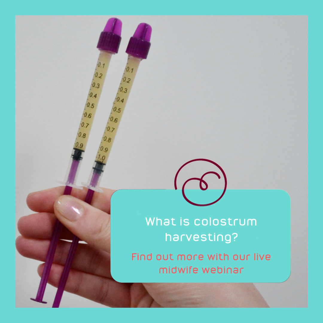 Colostrum Harvesting On Demand Webinar#N# – My Expert Midwife